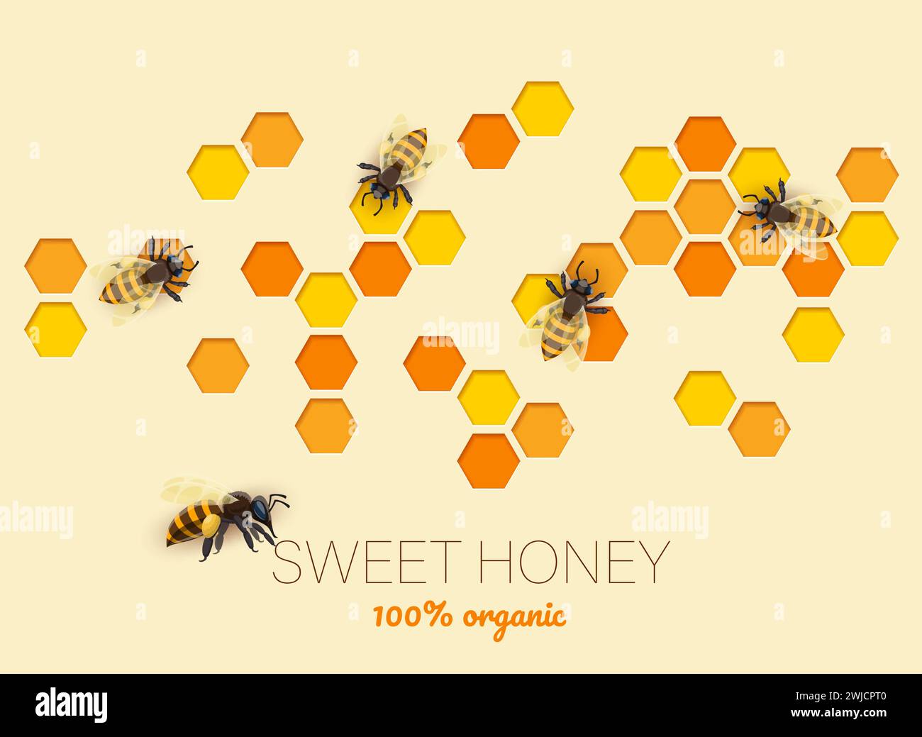 Paper cut honeycomb, honey and bee 3d vector banner with hexagonal ...