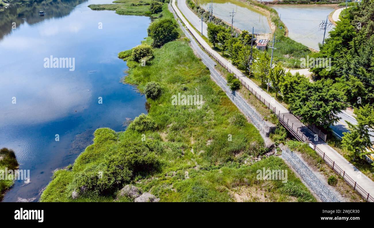 Aerial shot capturing the sunny riverside with road and vibrant ...