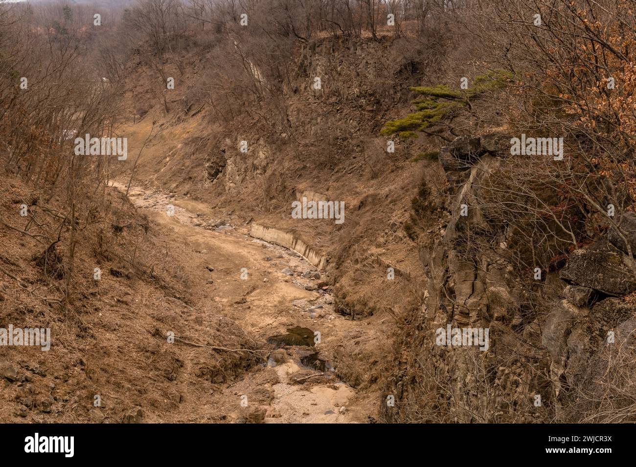 Dry stream in mountain wilderness on cold winter day in South Korea ...