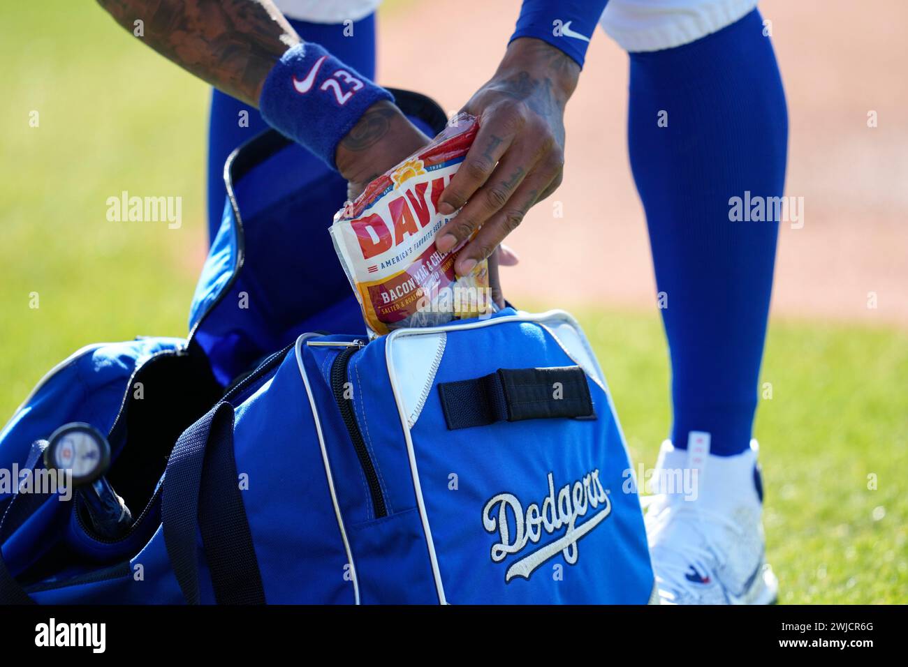 Los Angeles Dodgers right fielder Jason Heyward reaches for sunflower ...
