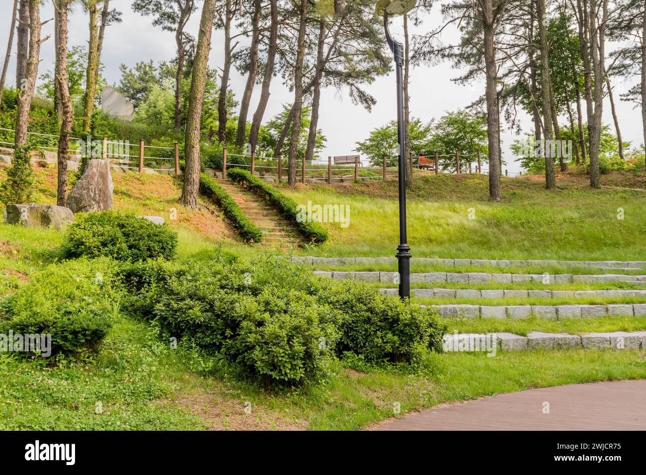Amphitheater seating in public park made of concrete blocks with trees ...