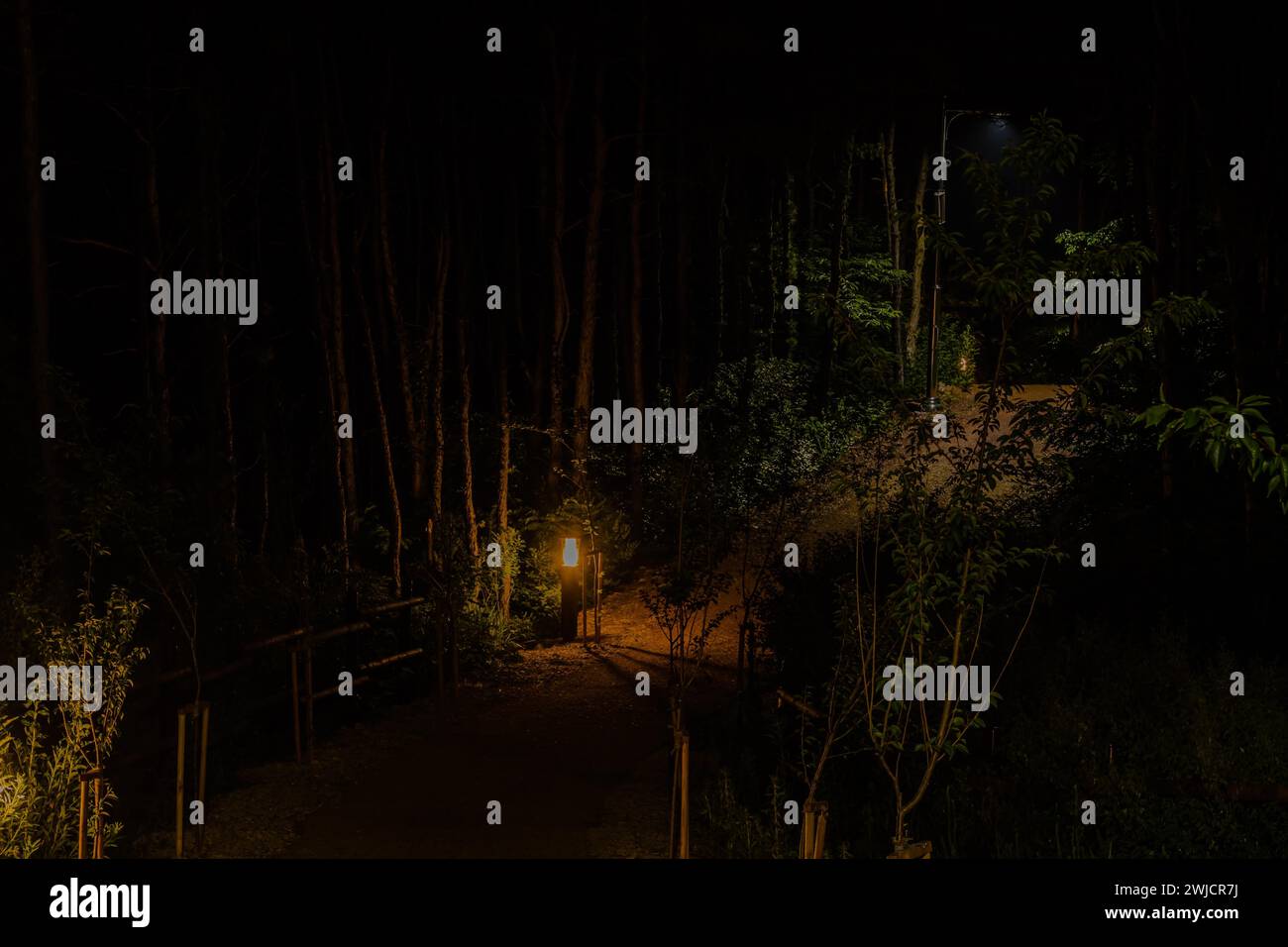 Night view of mountain hiking trail illuminated with street lights ...
