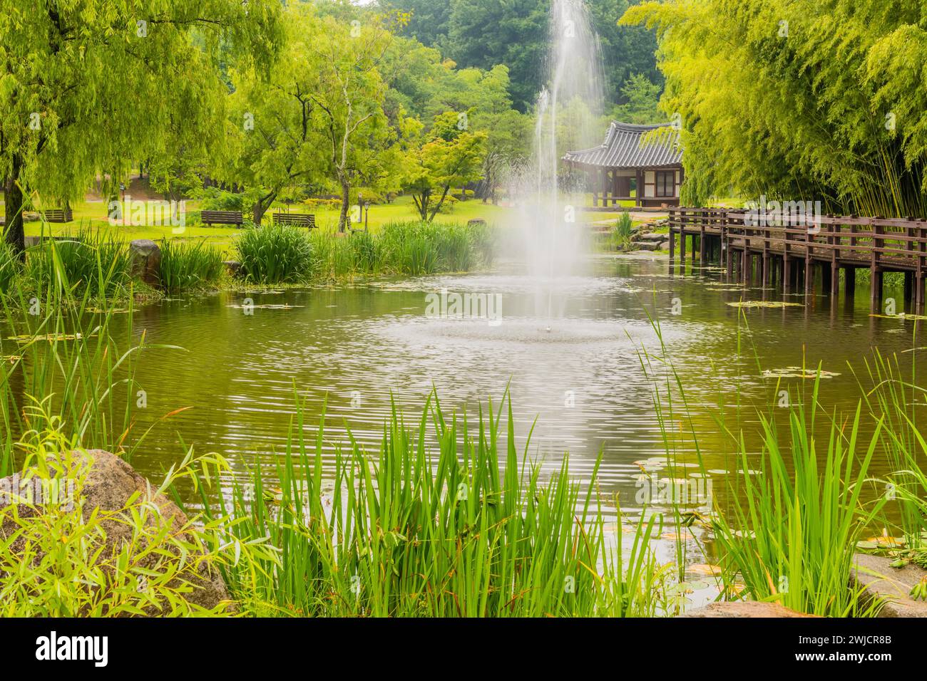 Landscape of man made pond with fountain shooting water into the air in ...