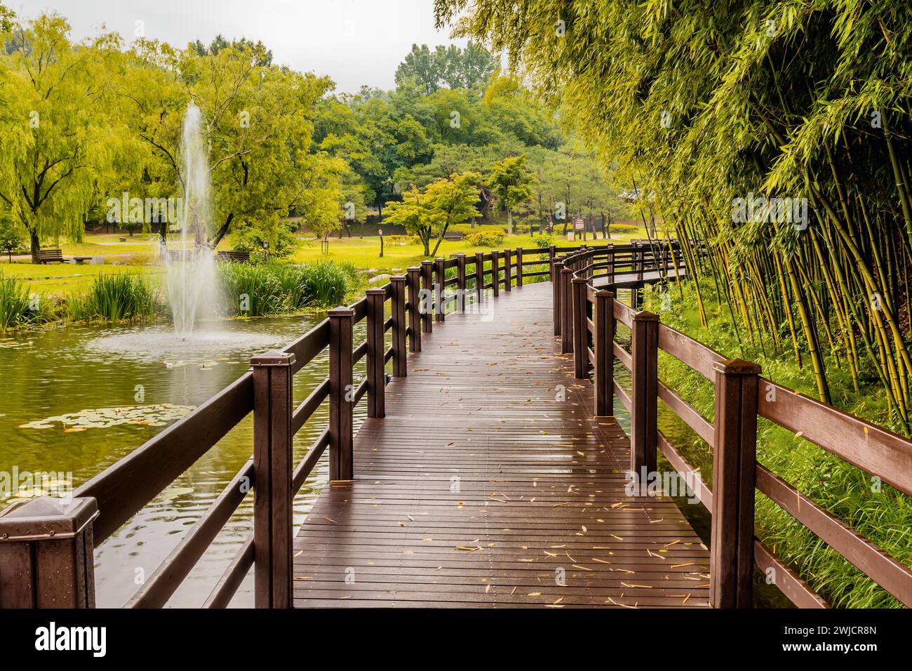 Wooden elevated walkway over man made pond with fountain shooting water ...