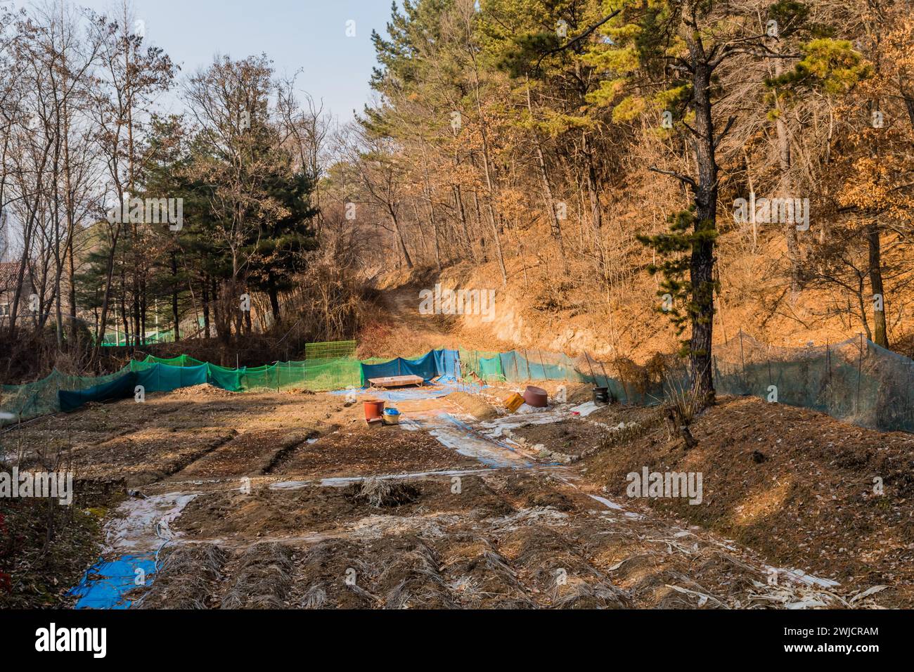 Mesh fencing hi-res stock photography and images - Alamy
