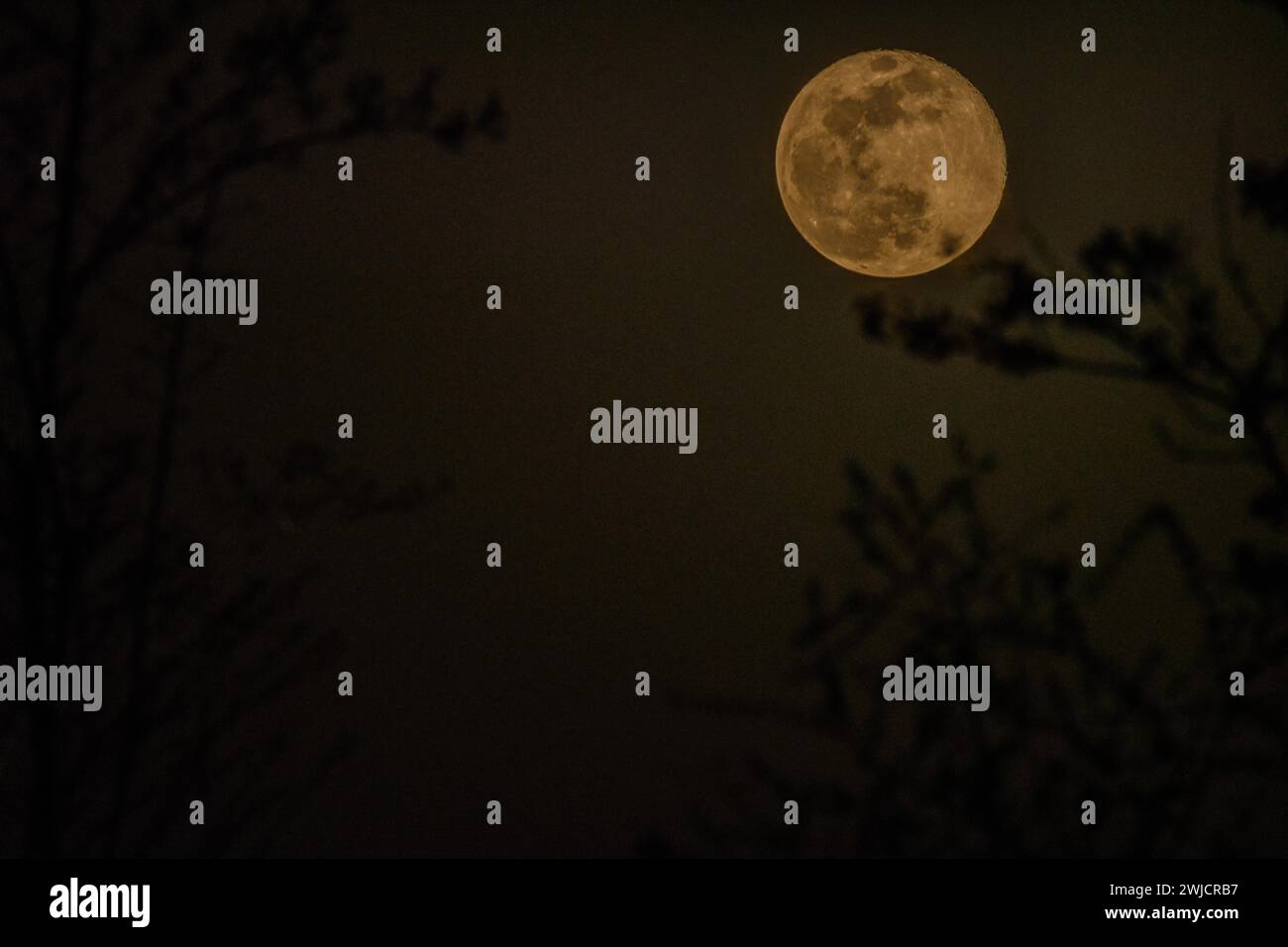 First night of waxing gibbon moon after the April full moon behind a ...