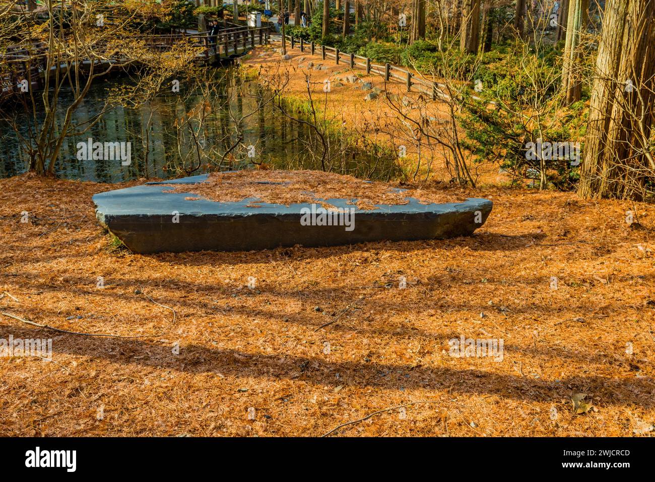 Large flat granite boulder in front of small pond at public park in ...