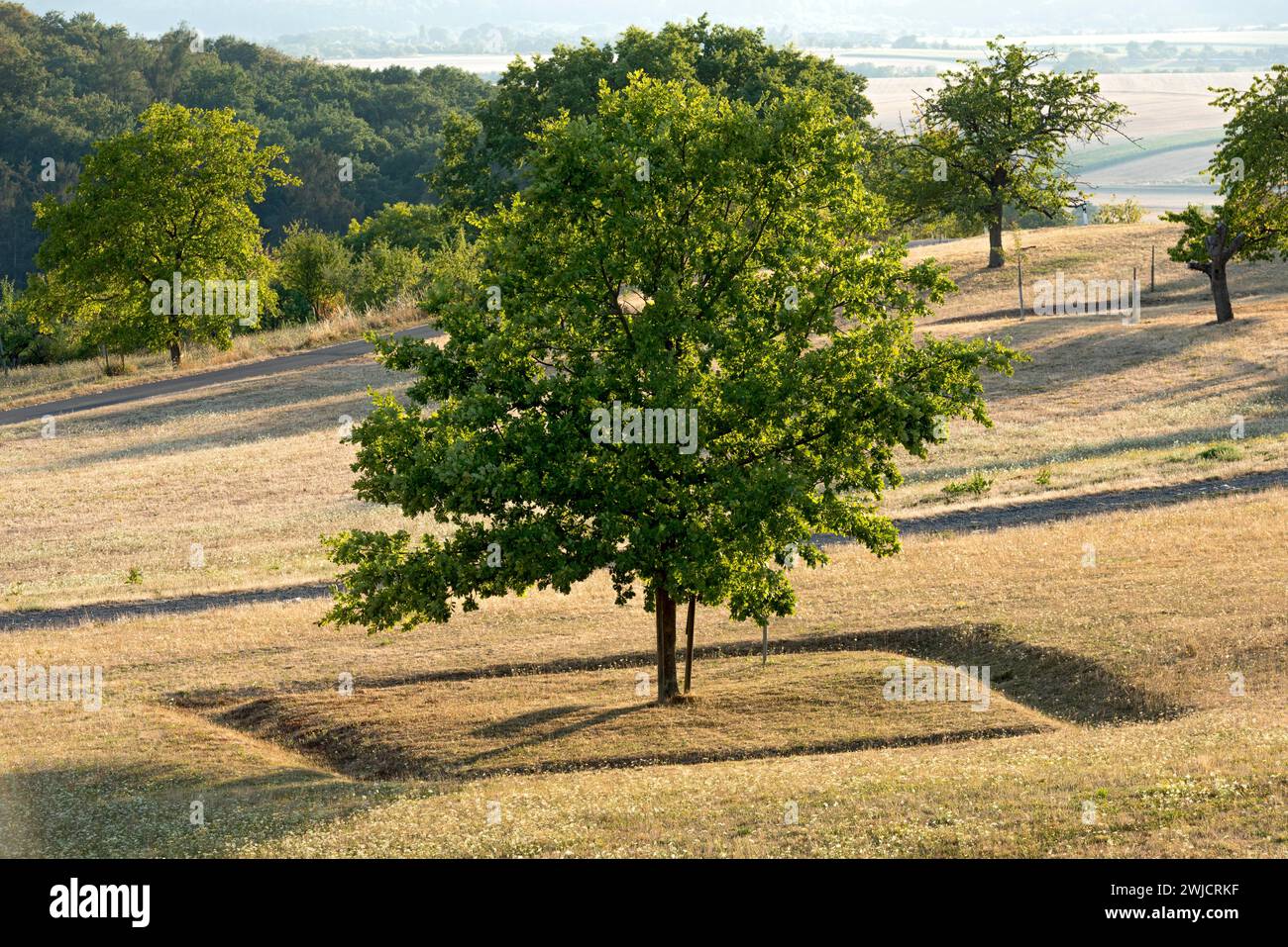 Celtic god taranis hi-res stock photography and images - Alamy