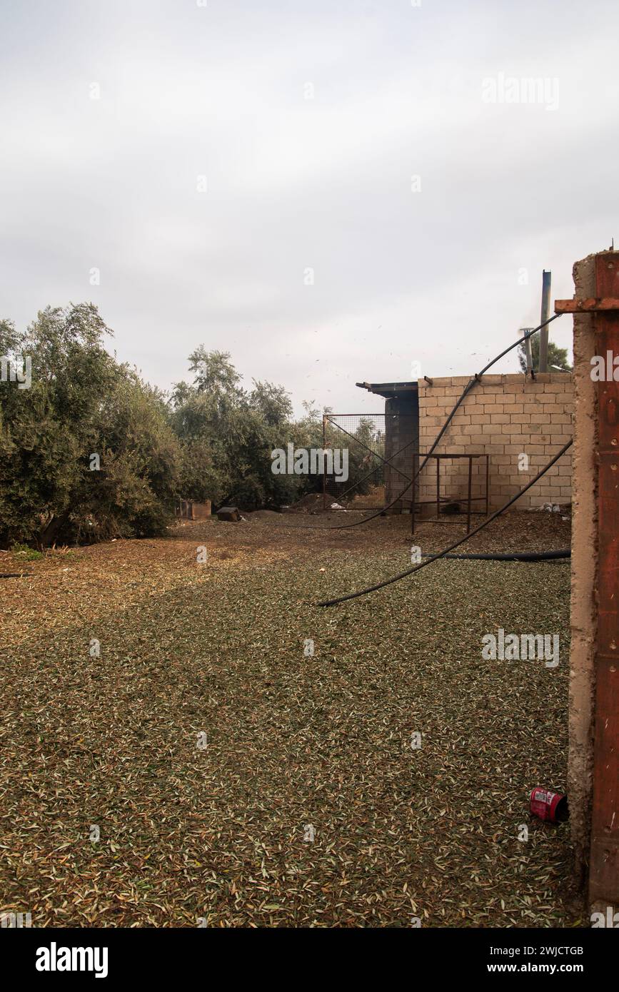 Azraq, Jordan - 27 December 2023: Olive oil Mill at Al azraw Stock ...