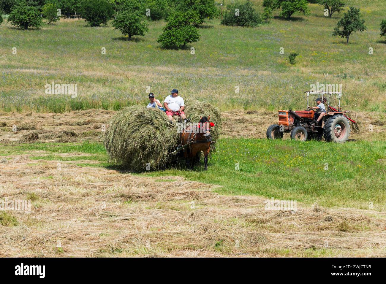 Horse drawn hay cart hi-res stock photography and images - Alamy