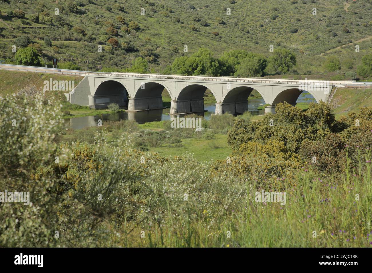 Historic stone arch bridge over the Rio Almonte, Extremadura, Spain ...