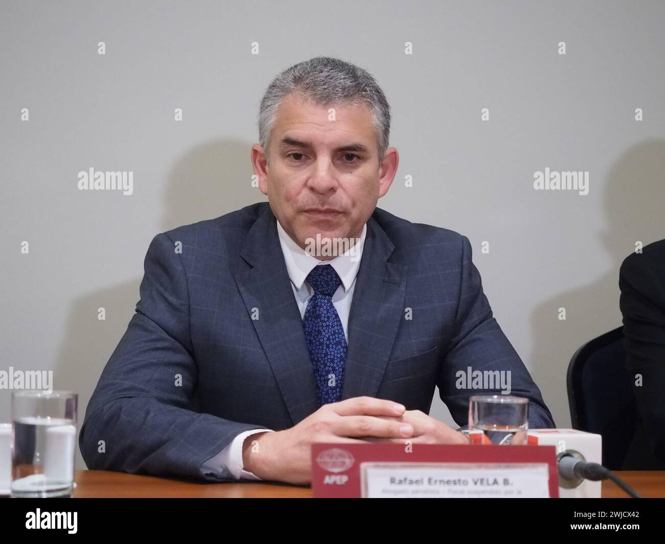 Rafael Vela Barba, a prosecutor suspended by the National Control ...