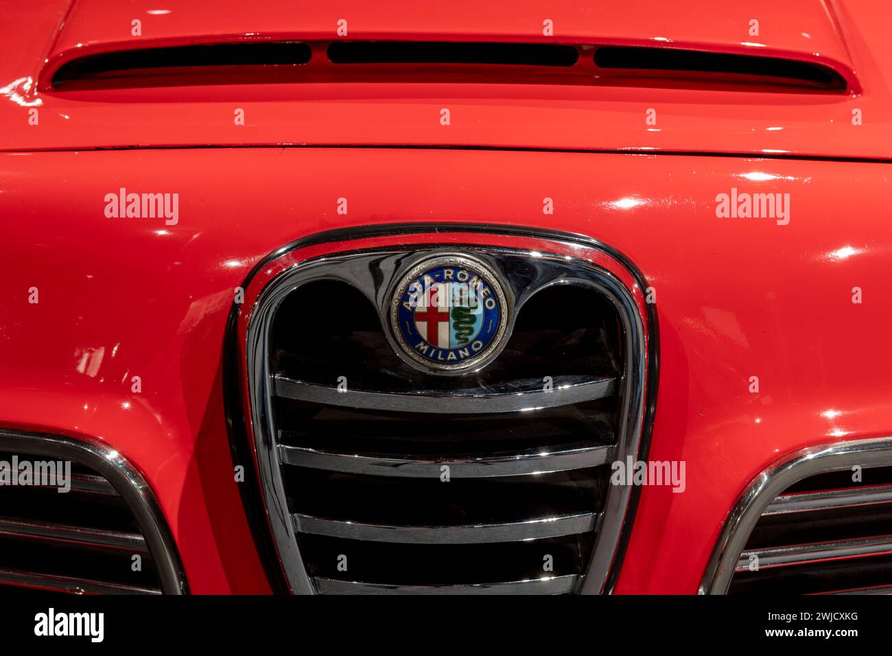 Sparkford.Somerset.United Kingdom.January 7th 2024.Close up of the ...