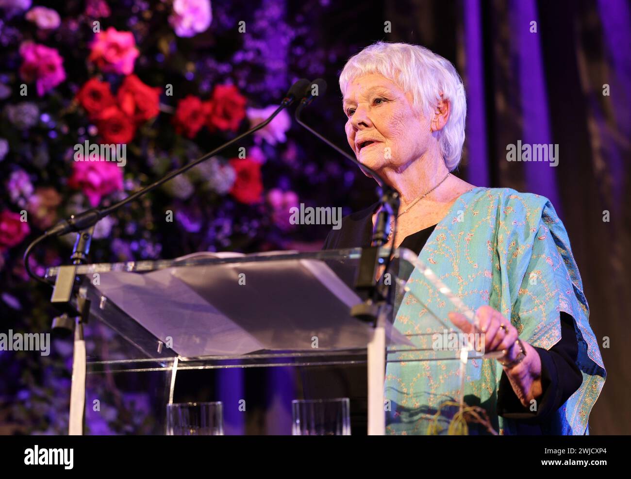 Dench judi event in hi-res stock photography and images - Alamy