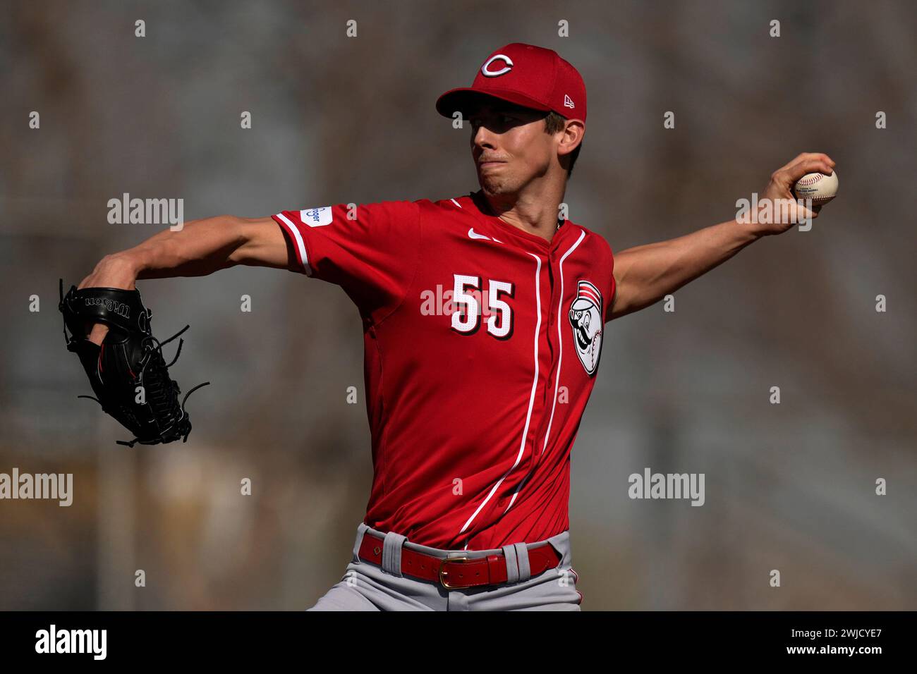 Cincinnati Reds pitcher Brandon Williamson throws during spring ...