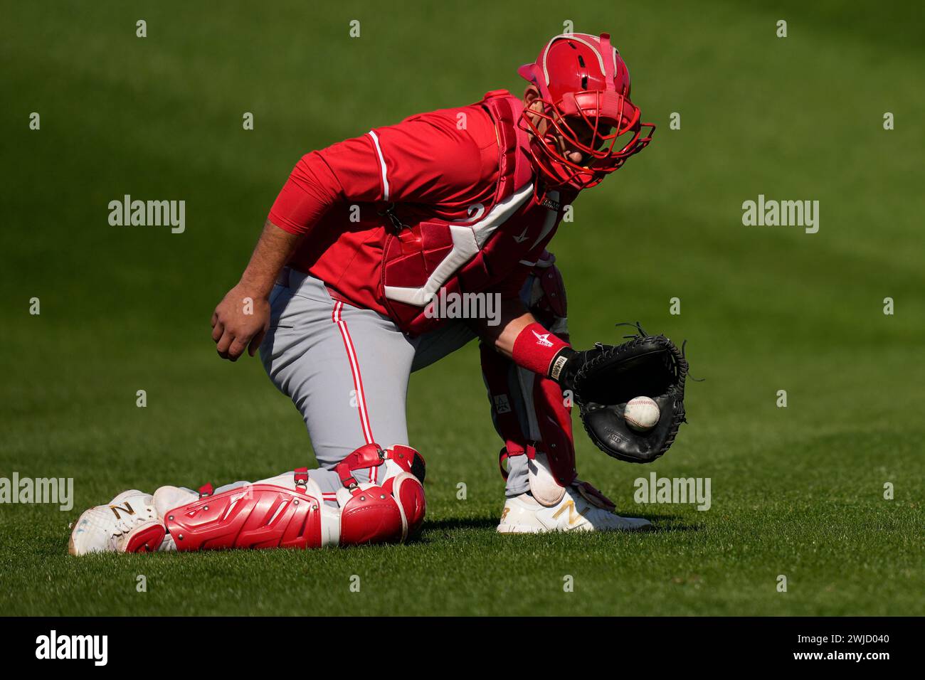 Cincinnati Reds catcher Luke Maile fields a ball during spring training ...