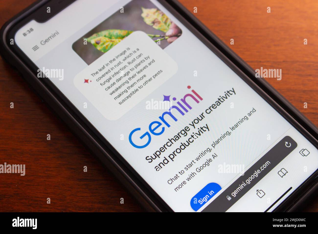 Google Gemini website seen in an iPhone screen. Gemini is a family of AI models, largest and ...