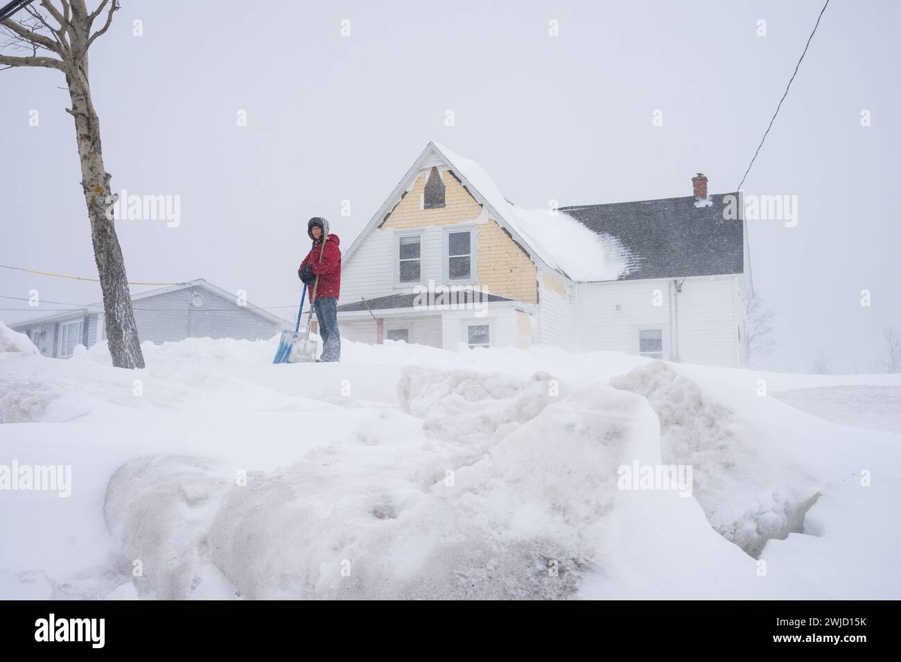 Sydney, Canada. 14th Feb, 2024. Corrine Penney gets set to shovel snow ...