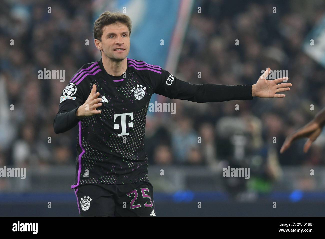 Thomas myller hi-res stock photography and images - Alamy