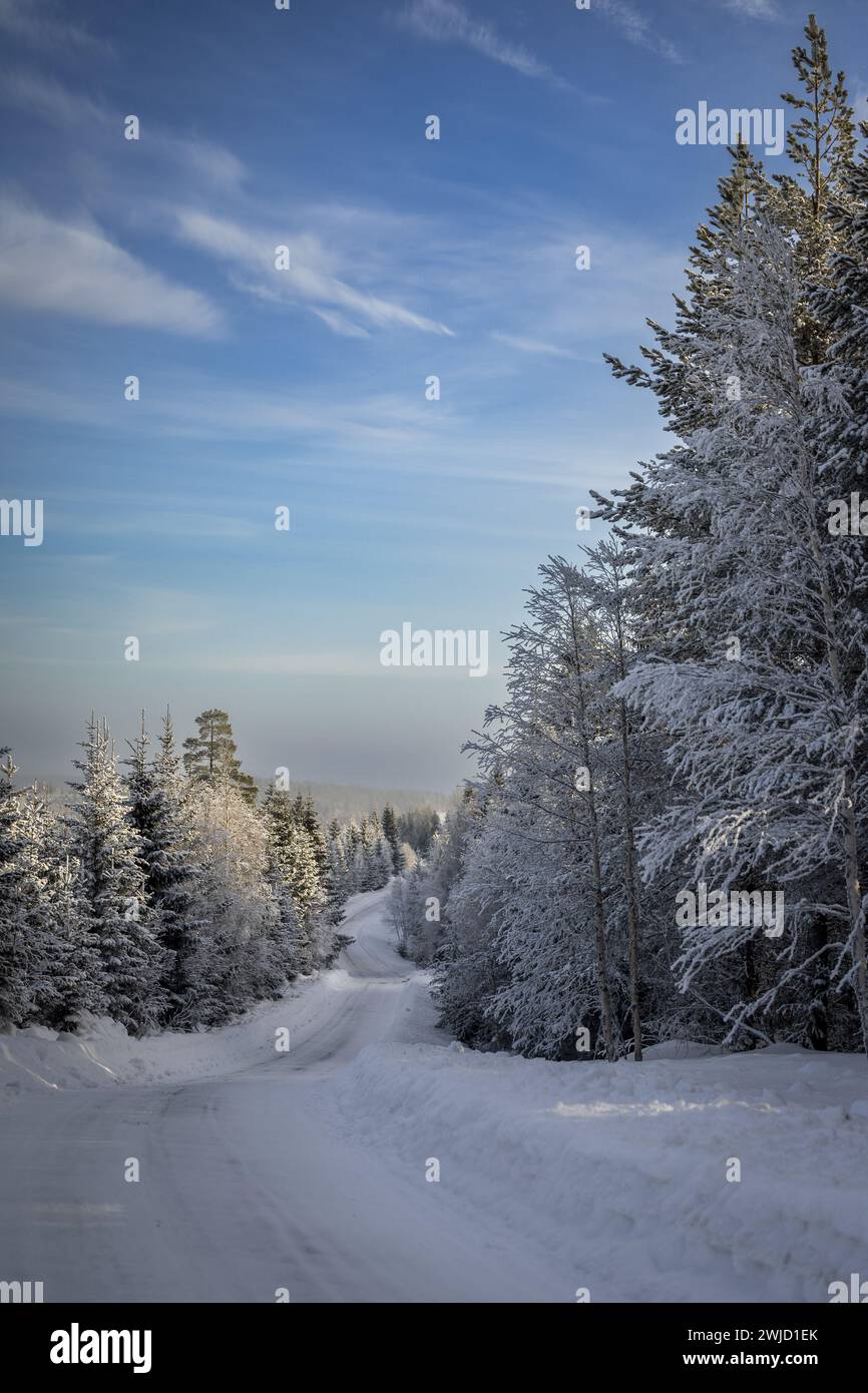 ambiance during the Rally Sweden 2024, 2nd round of the 2024 WRC World ...