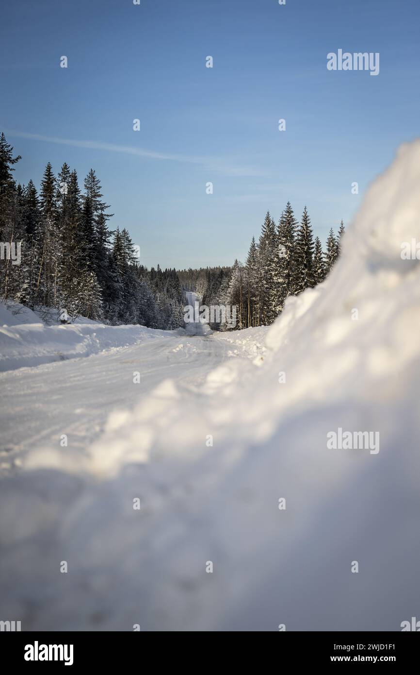 ambiance during the Rally Sweden 2024, 2nd round of the 2024 WRC World ...