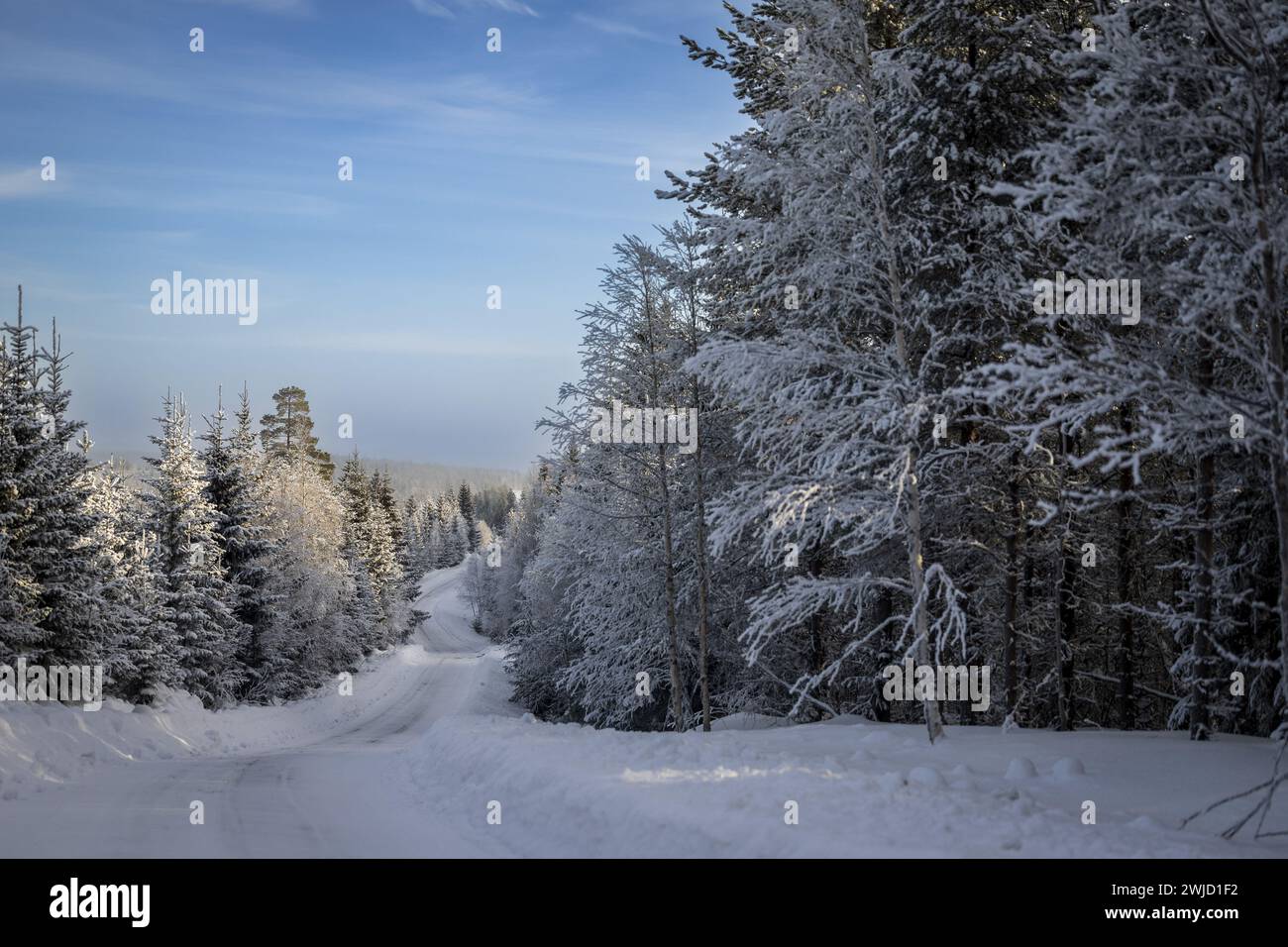 ambiance during the Rally Sweden 2024, 2nd round of the 2024 WRC World ...