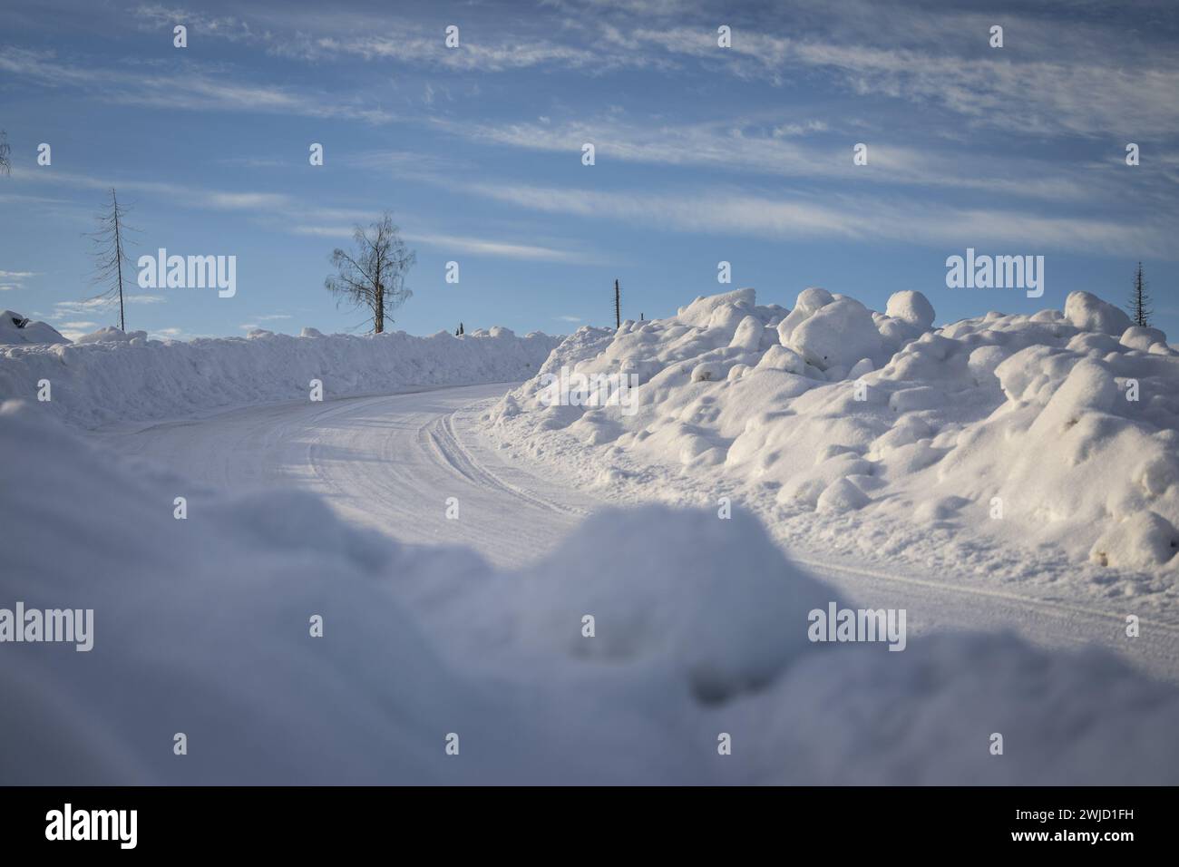 ambiance during the Rally Sweden 2024, 2nd round of the 2024 WRC World ...