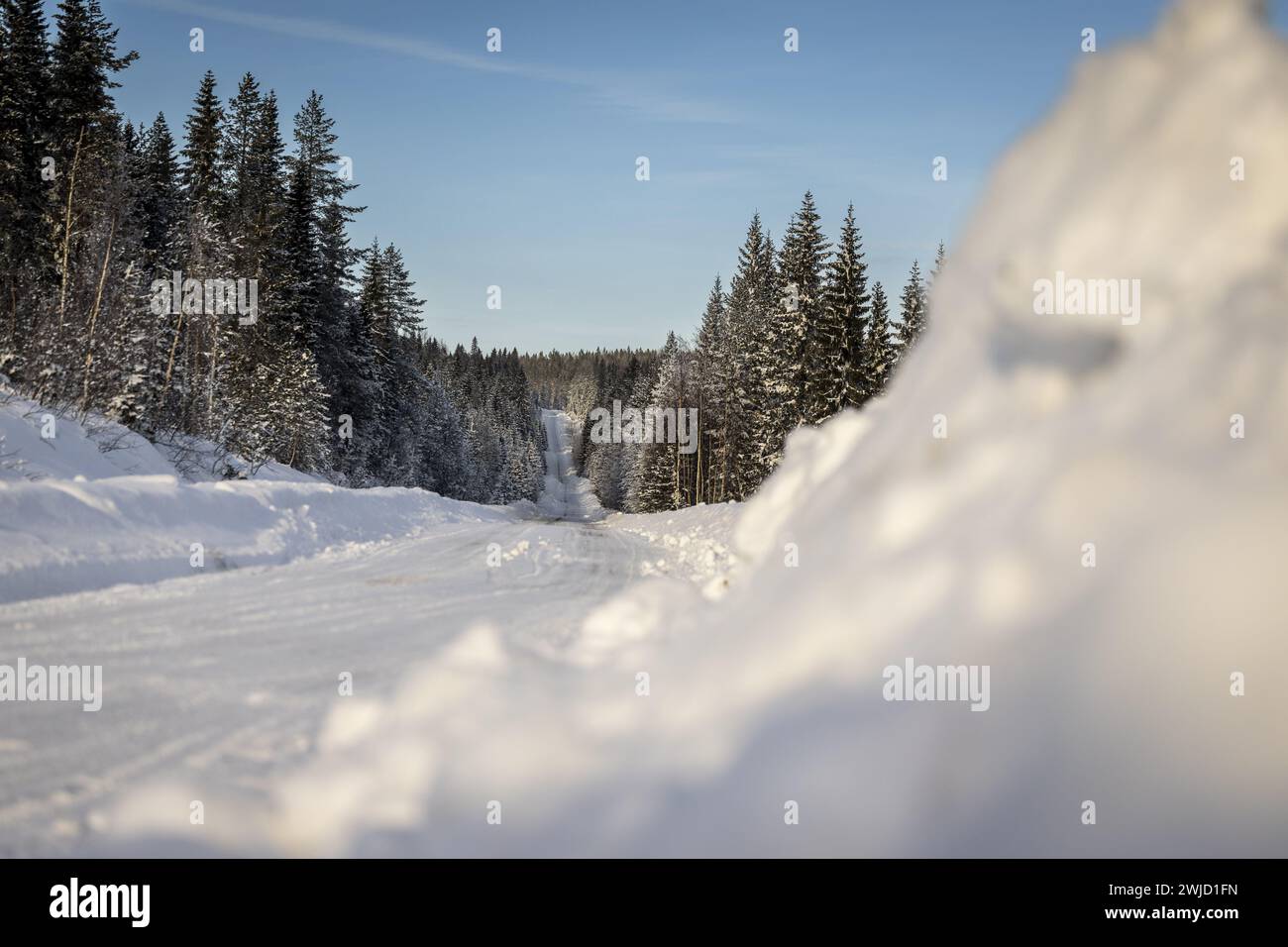 ambiance during the Rally Sweden 2024, 2nd round of the 2024 WRC World ...