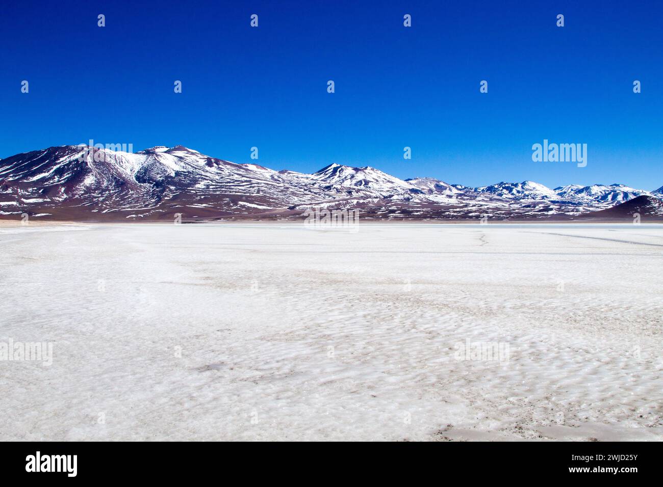 Laguna Blanca landscape,Bolivia. Beautiful bolivian panorama.White ...