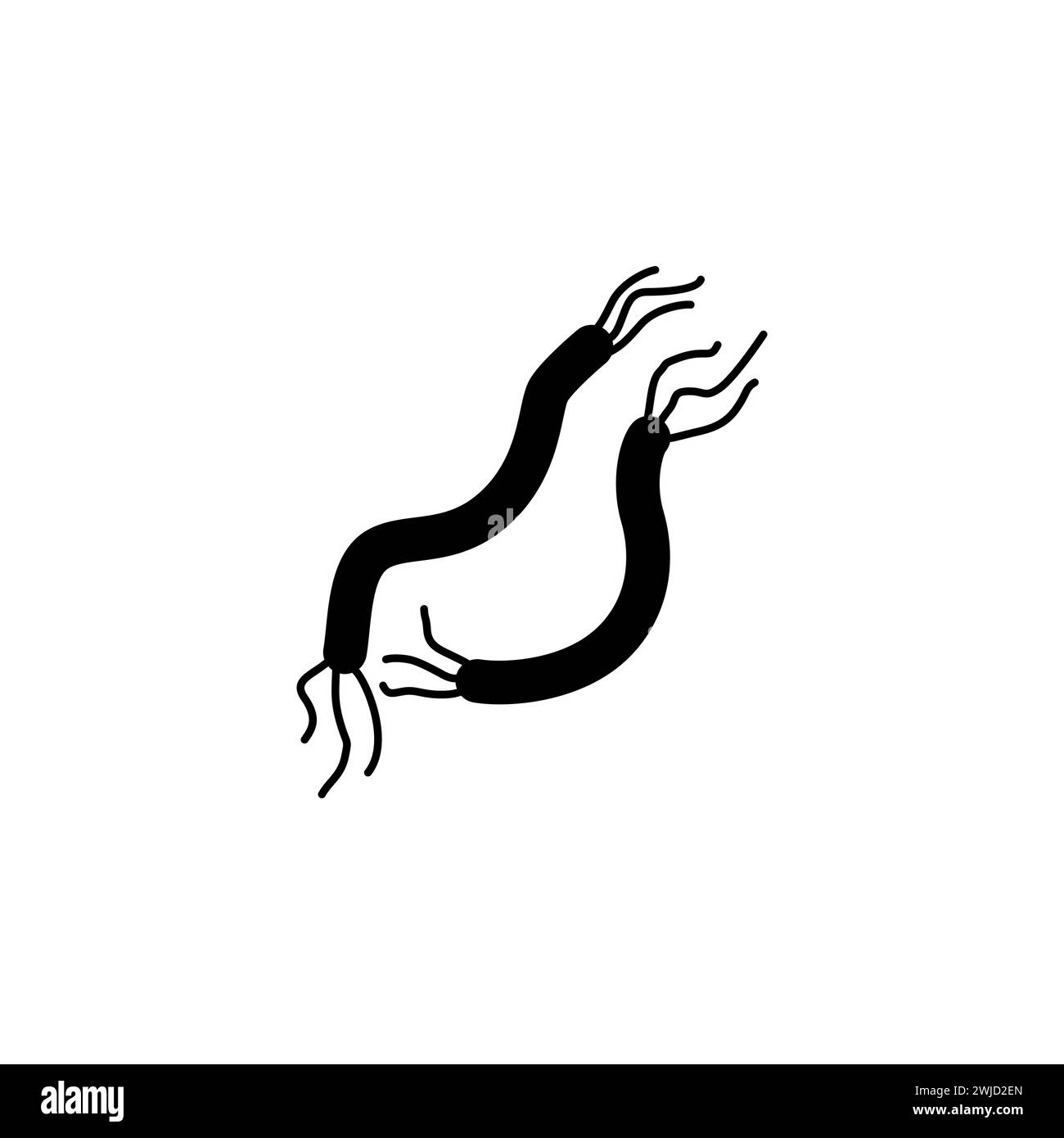 Worm Parasite flat vector icon. Simple solid symbol isolated on white ...