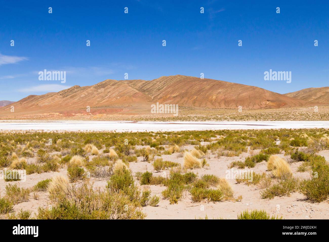 Bolivian mountains landscape,Bolivia.Andean plateau view Stock Photo ...