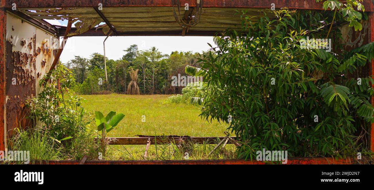 Nature taking back an old container Stock Photo - Alamy