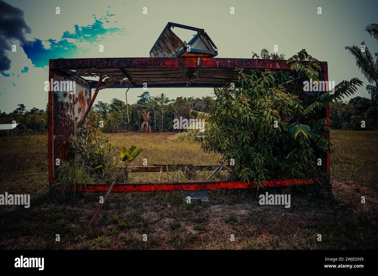 Nature taking back an old container Stock Photo - Alamy