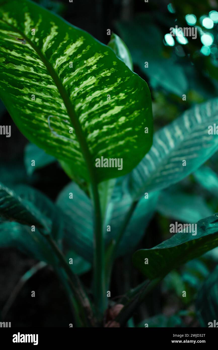 This captivating image transports us to the world of nature with its ...