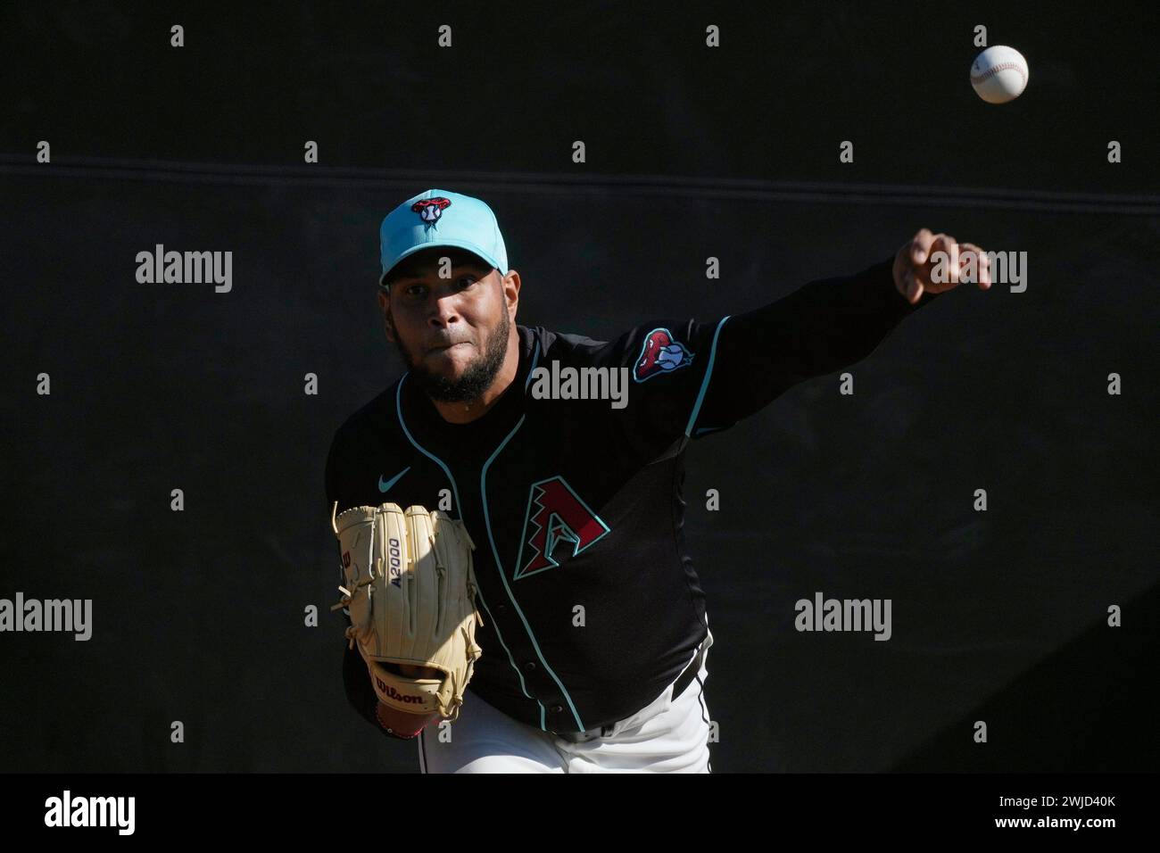 Arizona Diamondbacks starting pitcher Eduardo Rodriguez throws during ...