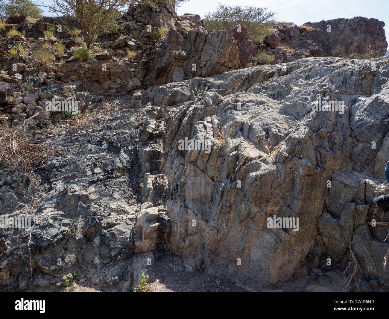Boundary of the Metamorphic Sole and volcanic rock of the Haybi nappe ...