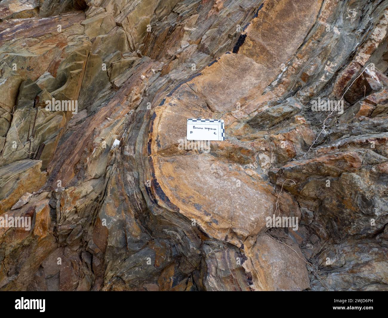 Spectacular folds in the Hawasina Nappe, turbidites on the ocean floor ...