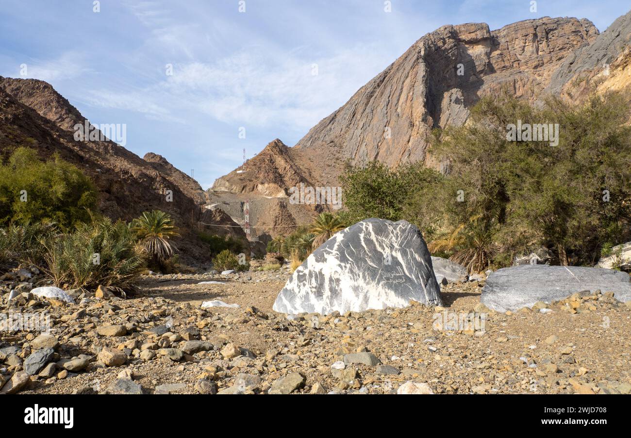 Cretaceous limestones plunge under Hawasina & Semail ophiolite nappes ...