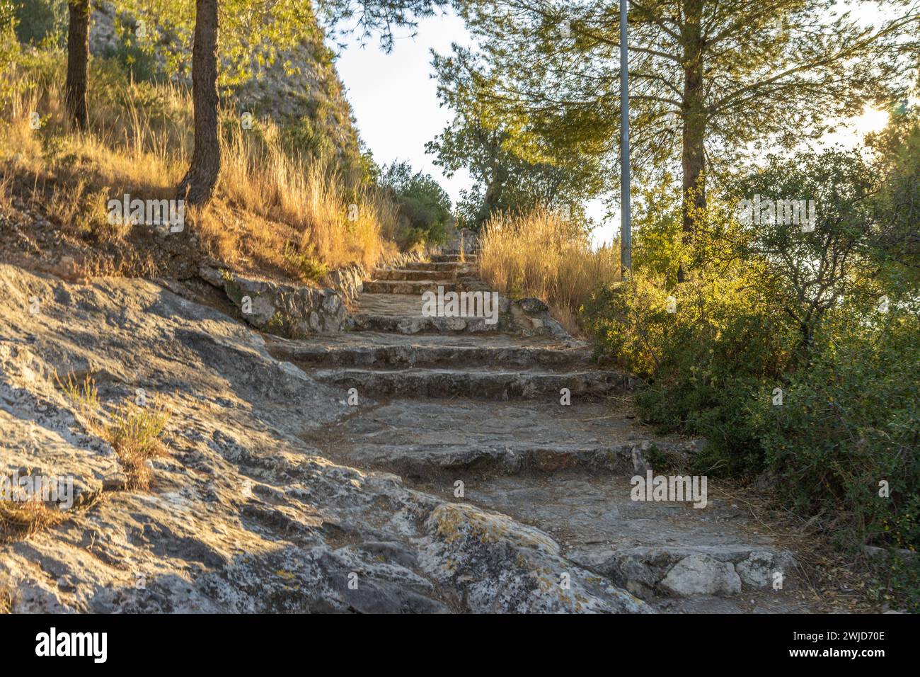 Enchanting pathway hi-res stock photography and images - Alamy
