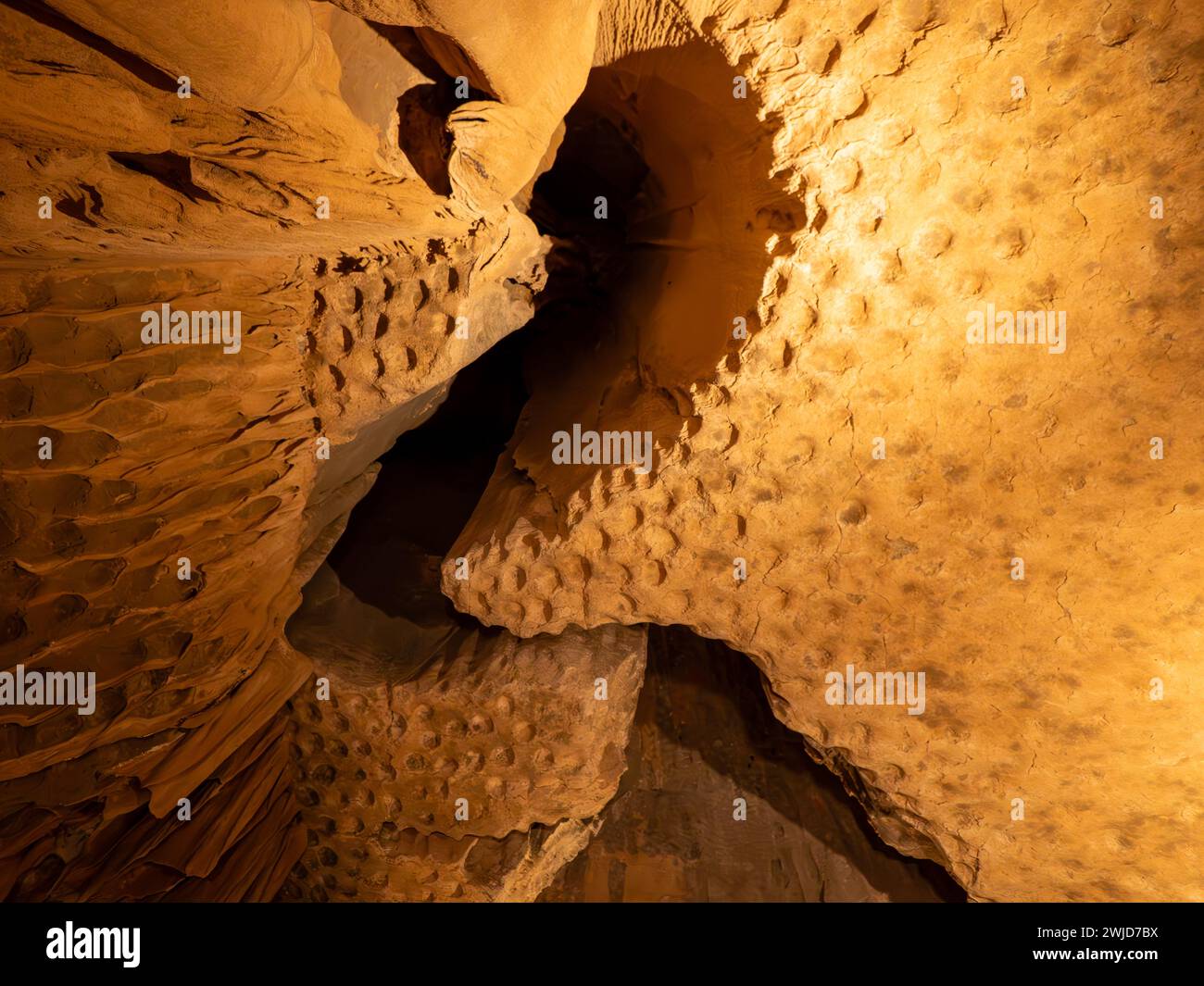 Inside Al Hoota Cave, in Al-Hamra', Ad Dakhiliyah Governorate, Oman ...