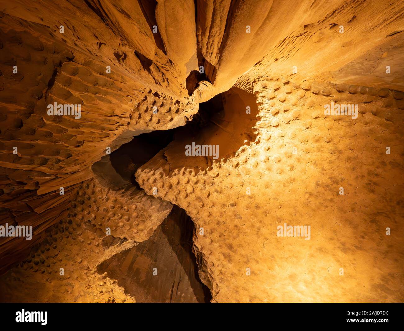 Inside Al Hoota Cave, in Al-Hamra', Ad Dakhiliyah Governorate, Oman ...
