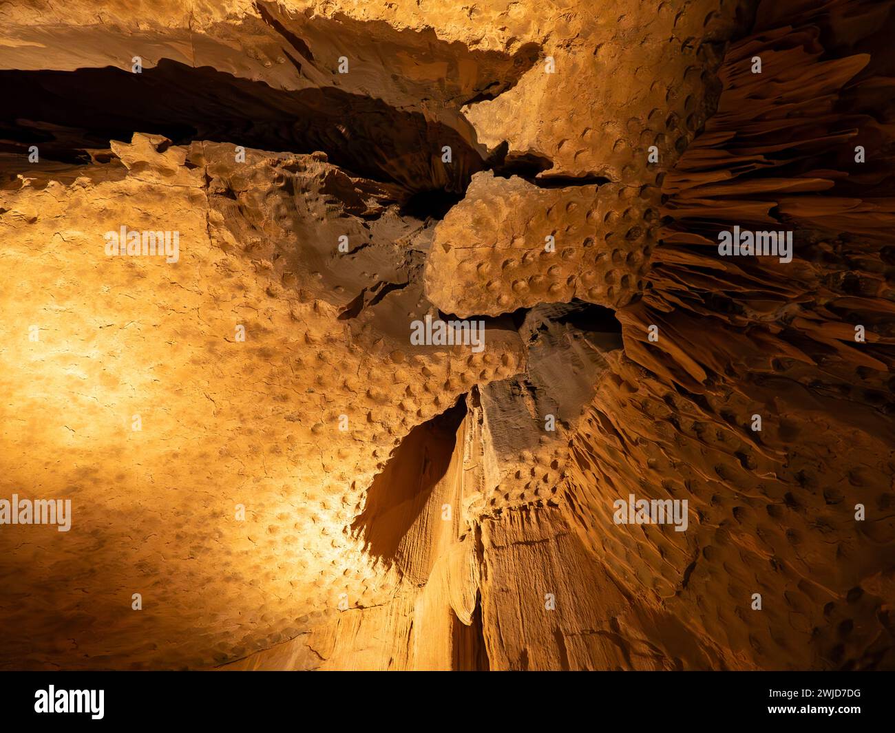 Al hoota cave, oman hi-res stock photography and images - Alamy