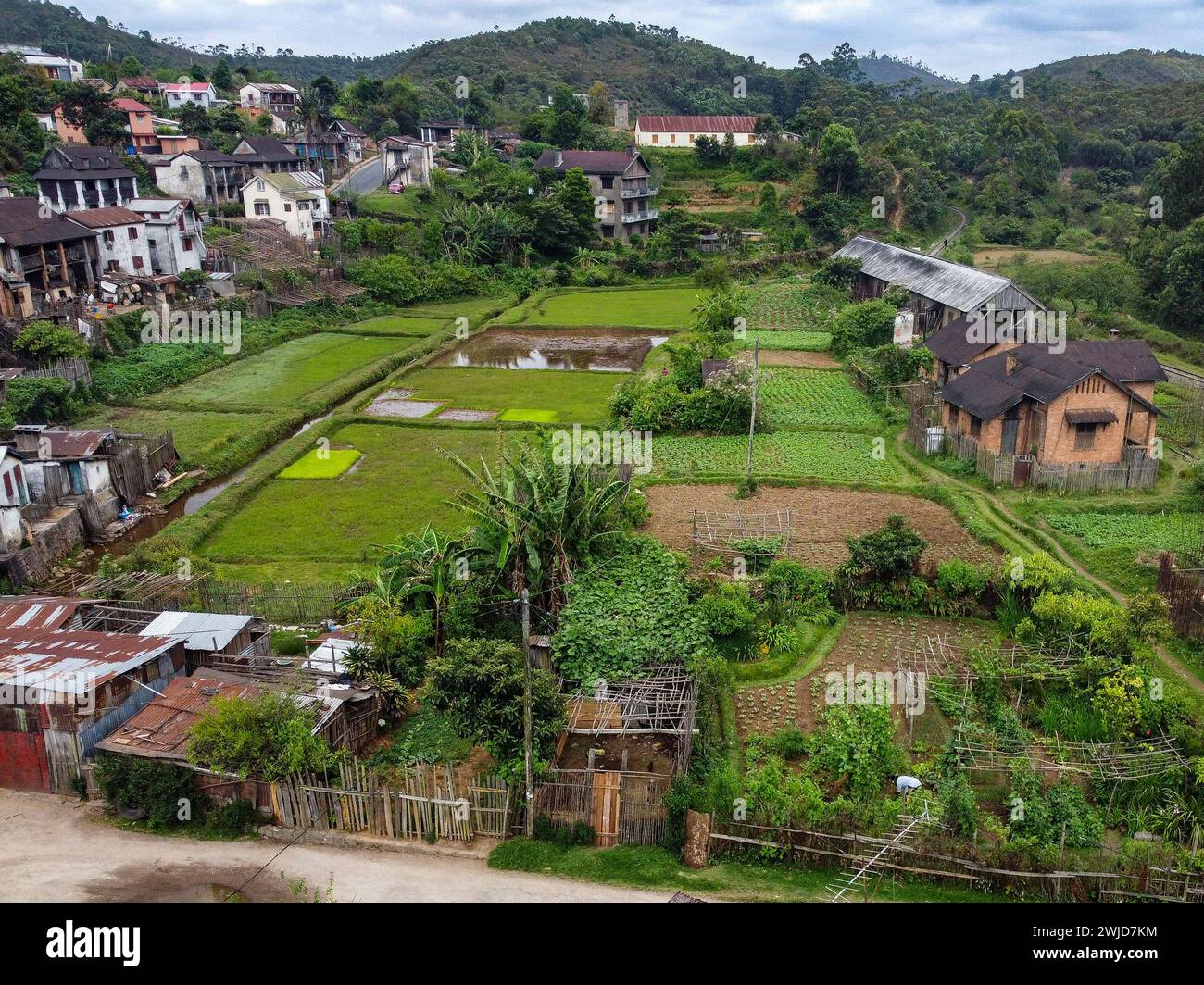 Aerial view rice fields village hi-res stock photography and images - Alamy