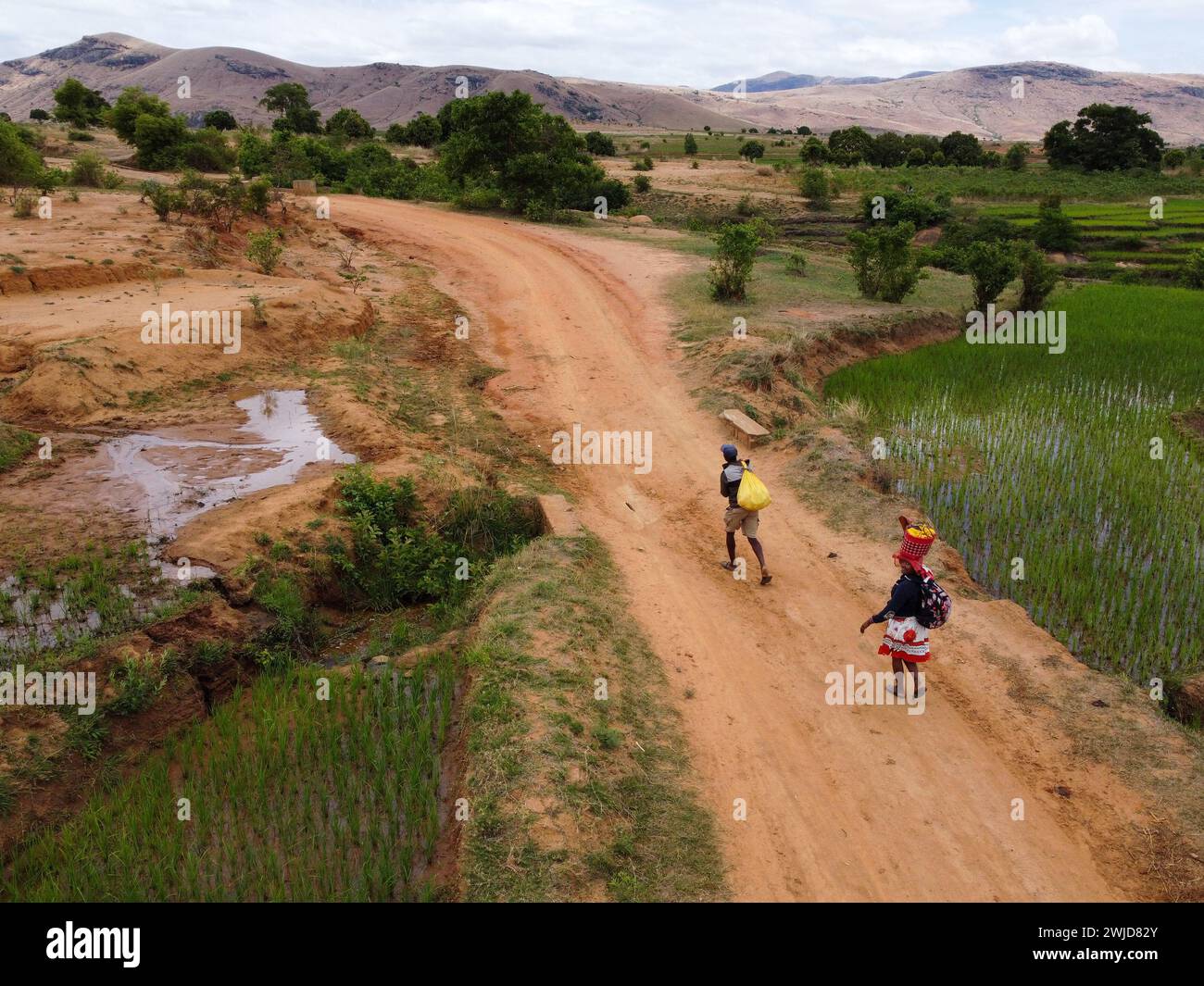 Madagascar real life hi-res stock photography and images - Alamy