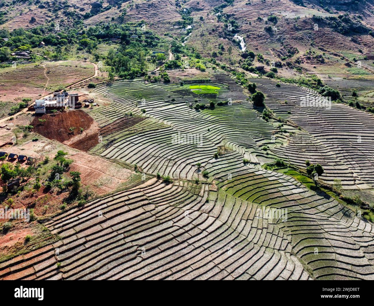 Rice fields of Madagascar Stock Photo - Alamy
