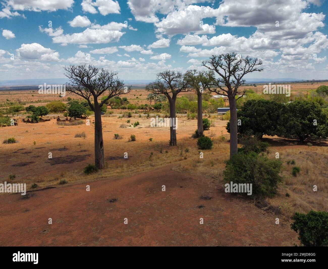 Mystical madagascar hi-res stock photography and images - Alamy