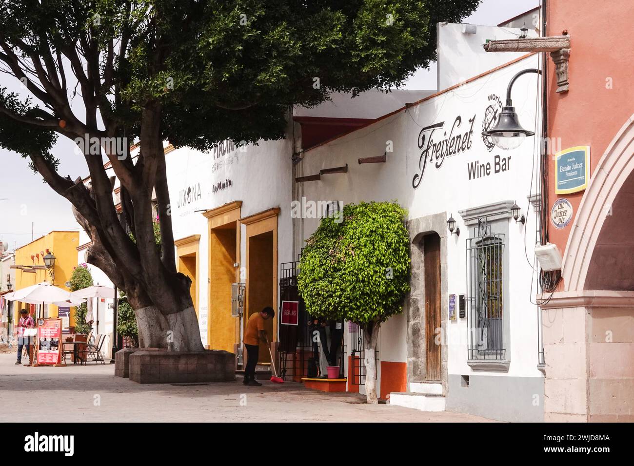 Restaurants and bars along the pedestrian street of Benito Juarez ...