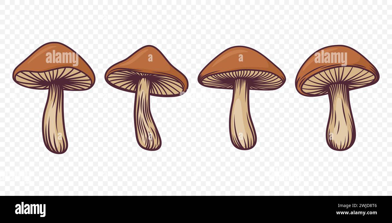 Vector Brown Hand-Drawn Cartoon Mushrooms. Mushroom Illustration ...
