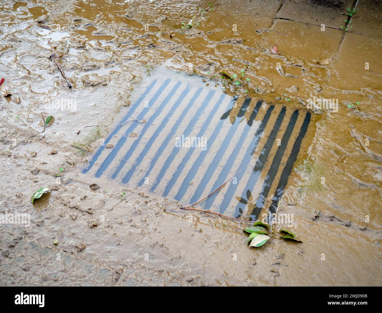 A storm drain filled with water in a park. Clogged storm drain ...