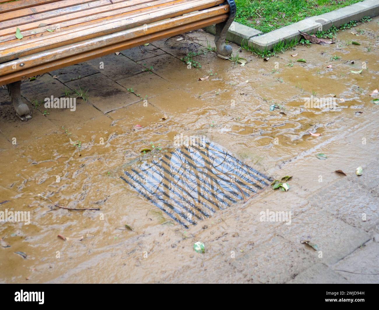 A storm drain filled with water in a park. Clogged storm drain ...